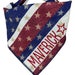 Patriotic Dog Bandana, USA Flag, July 4th Pet Gift - Etsy