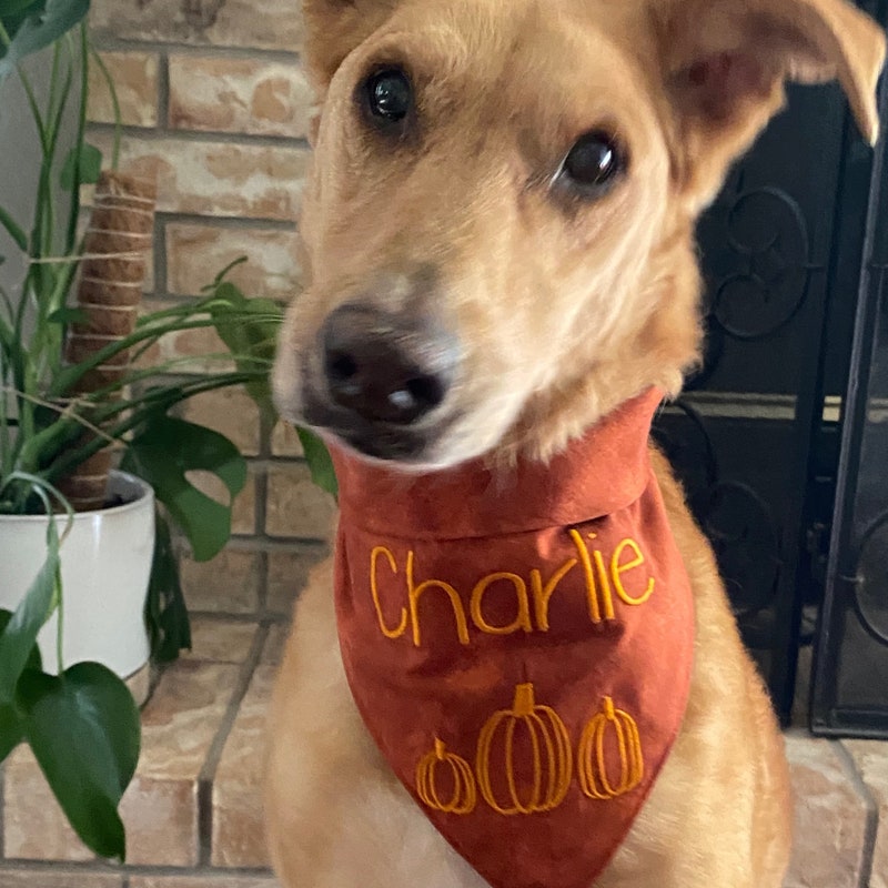 ChipmunkCheeksSewing - Etsy