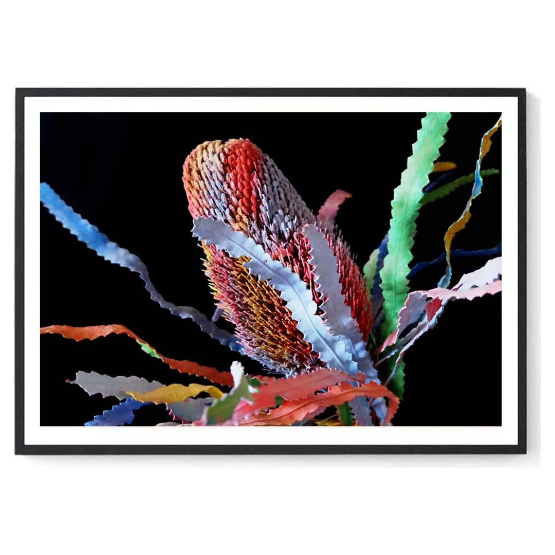 Rainbow Native Black, DIGITAL DOWNLOAD ART, Native Flower Art ...