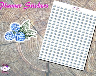 Blue Raspberry - Etsy