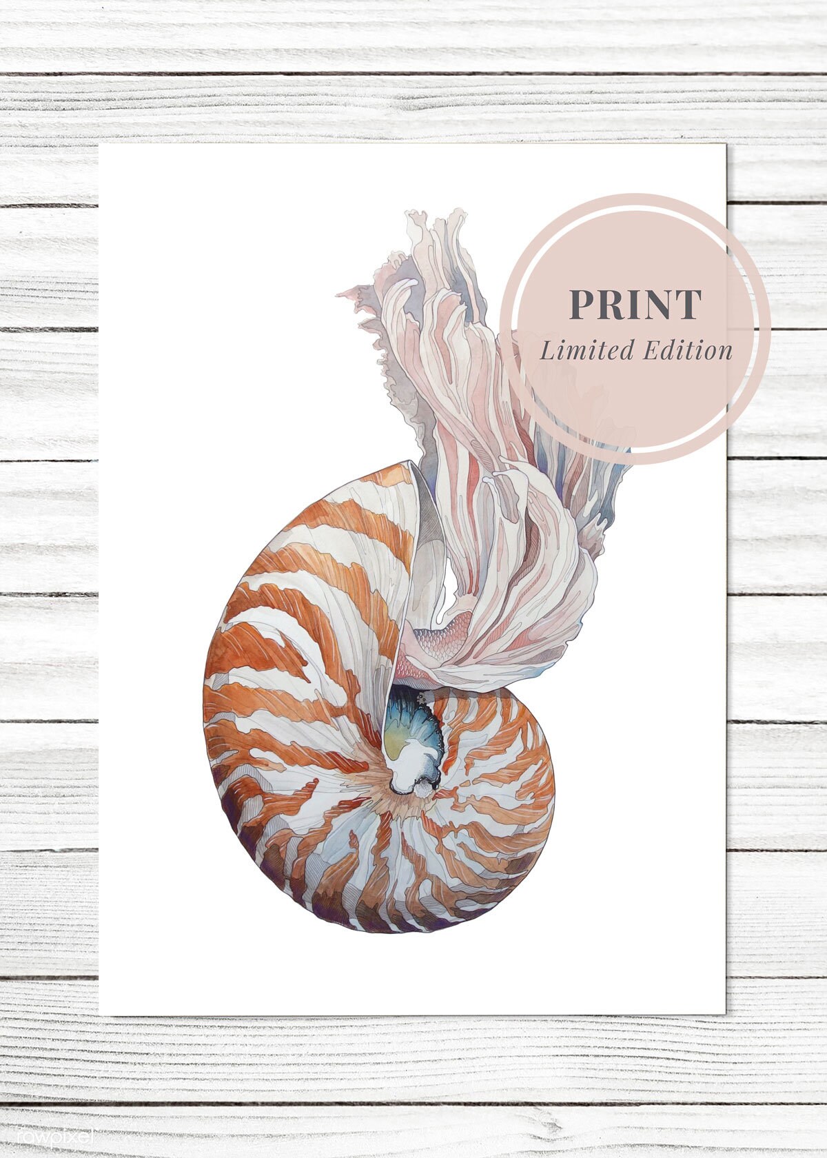PRINT Limited Edition 