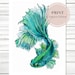 PRINT Limited Edition "green Siamese Fighting Fish", Giclée Print, Home ...