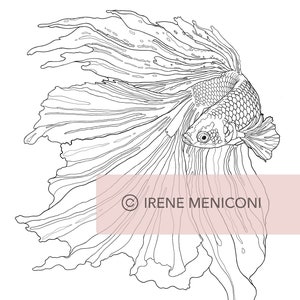 COLORING PAGE "siamese Fighting Fish" , Betta Fish, Downloadable ...