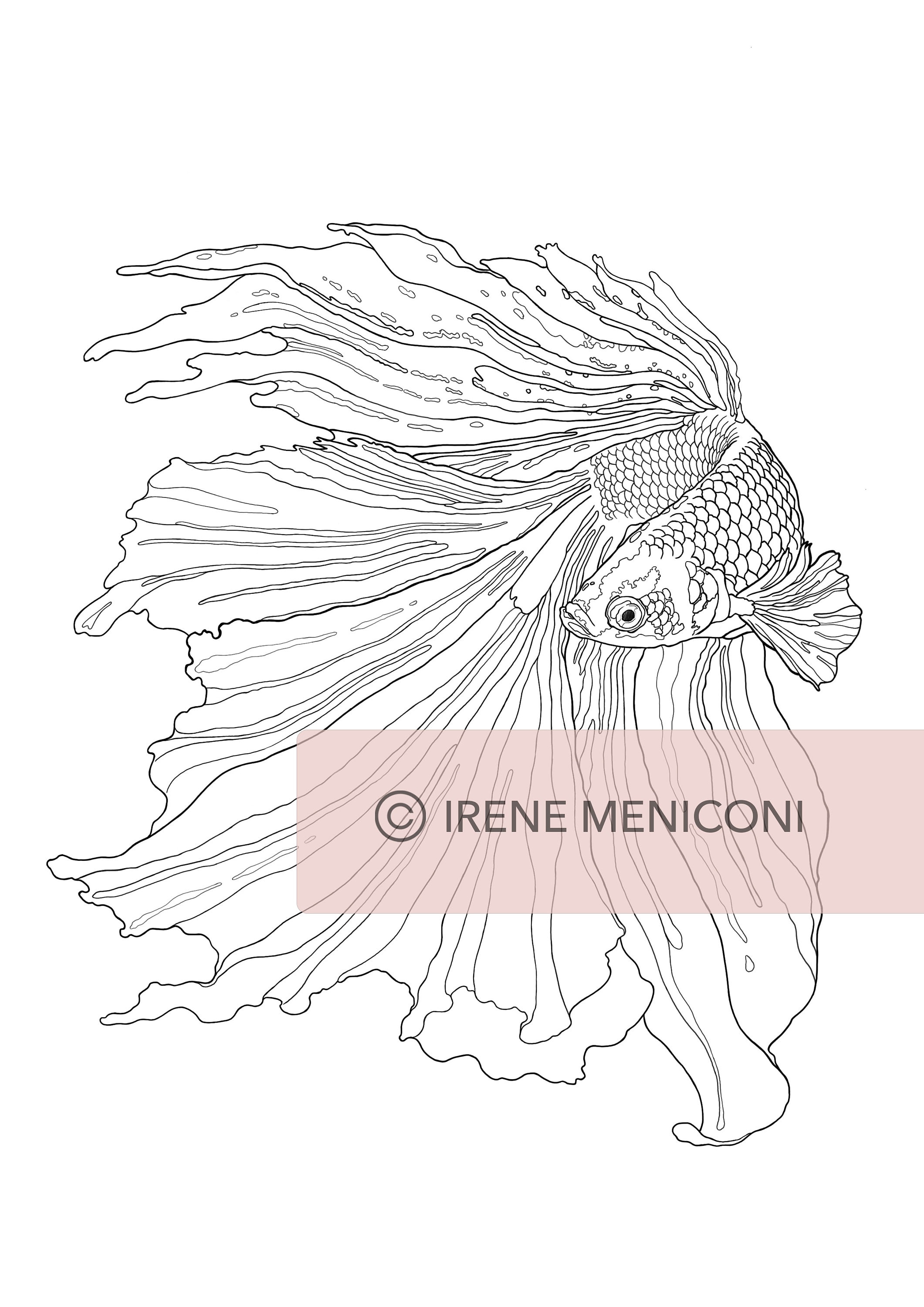 COLORING PAGE siamese Fighting Fish Betta Fish - Etsy