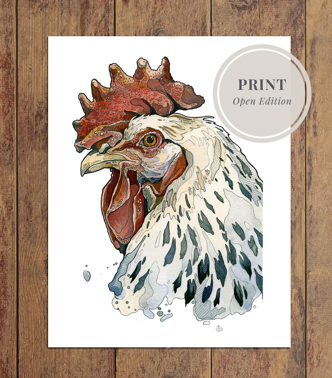 A5 PRINT Signed by Hand "rooster", Giclée Print, Fine Art, Nature ...