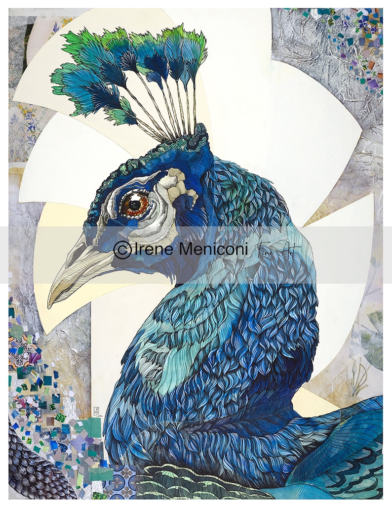 PRINT Limited Edition "peacock", Giclée Print, Art, Home Decor, Animal ...