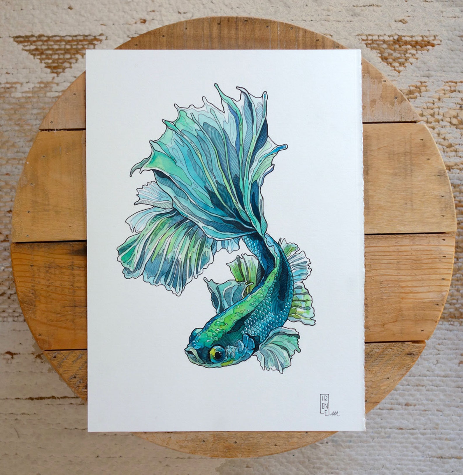PRINT Limited Edition "green Siamese Fighting Fish", Giclée Print, Home ...