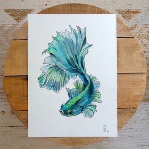 PRINT Limited Edition "green Siamese Fighting Fish", Giclée Print, Home ...