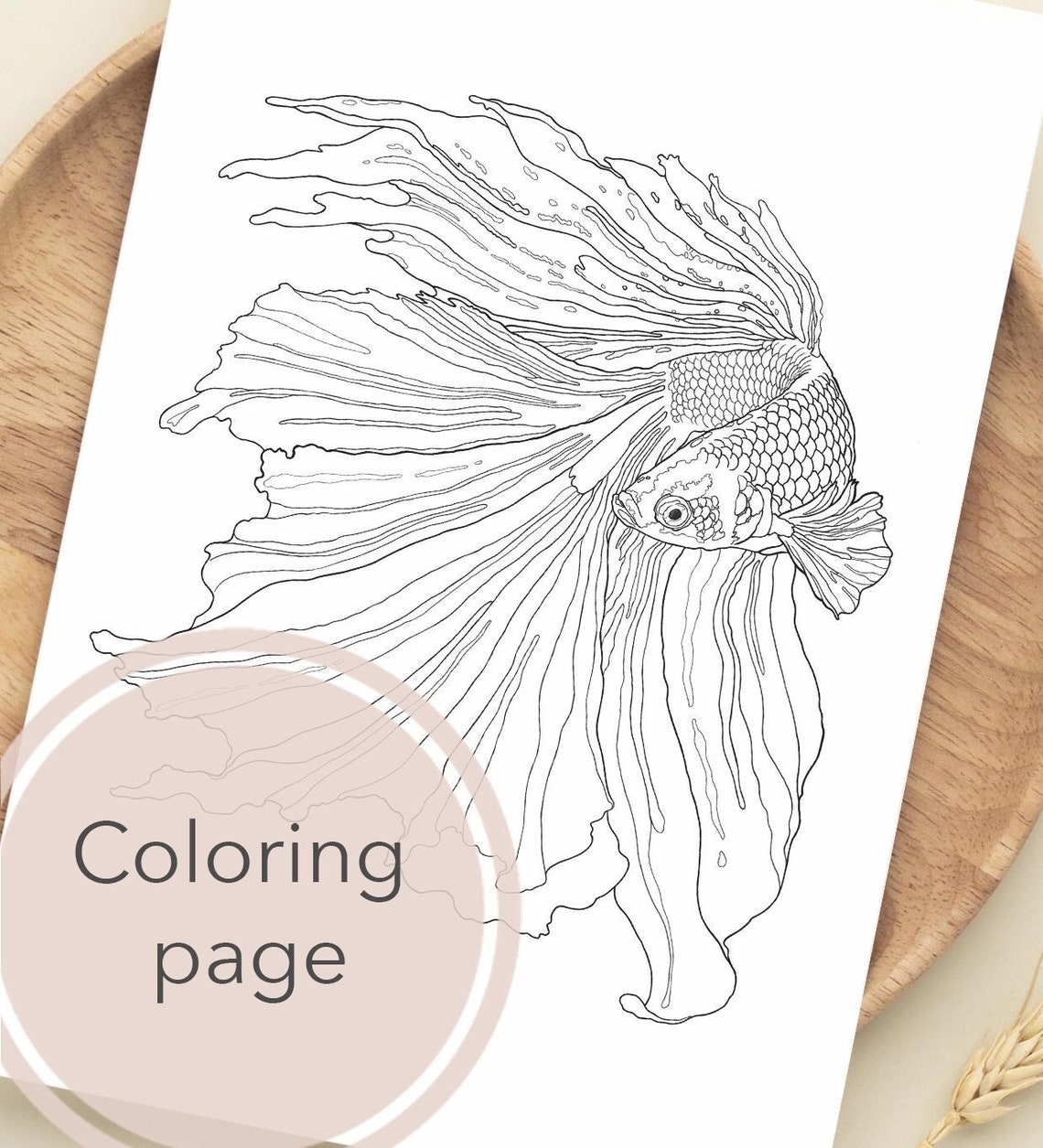 COLORING PAGE siamese Fighting Fish Betta Fish - Etsy