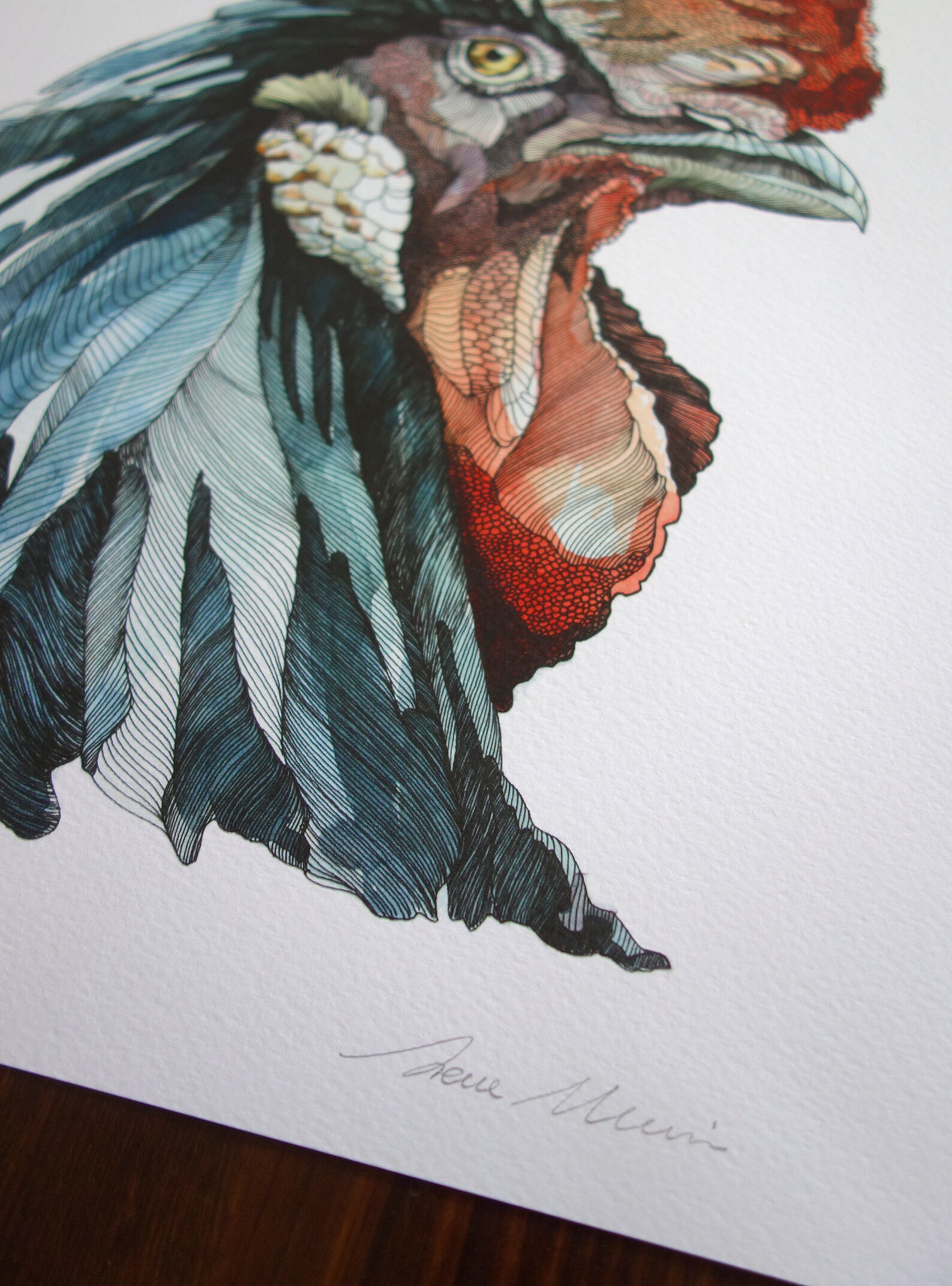 PRINT limited edition Black rooster Giclée print | Etsy