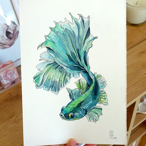 PRINT Limited Edition "green Siamese Fighting Fish", Giclée Print, Home ...