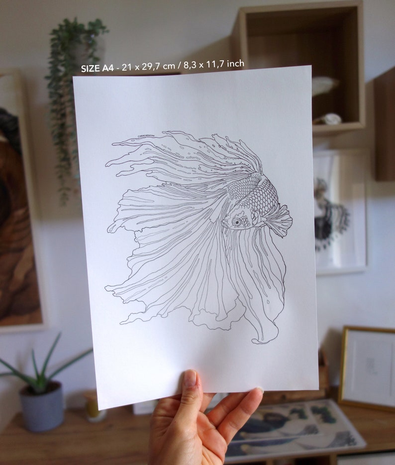 COLORING PAGE siamese Fighting Fish Betta Fish - Etsy