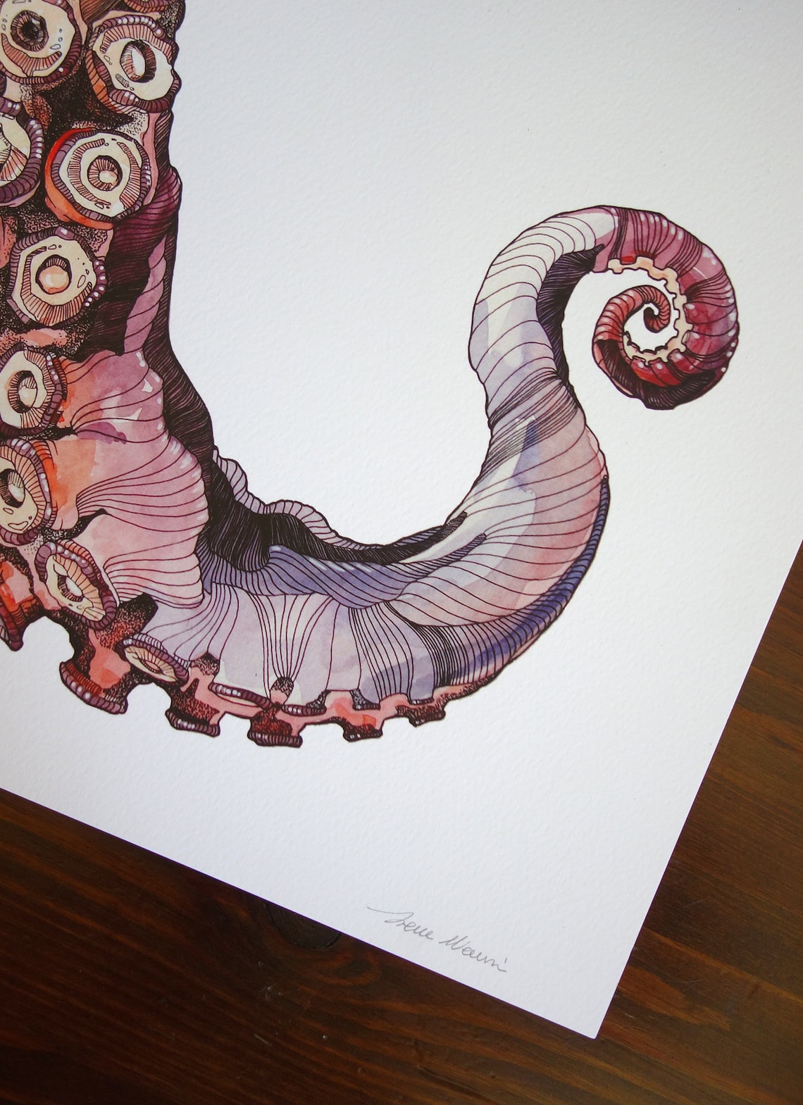 PRINT Limited Edition tentacle Fine Art Giclée - Etsy