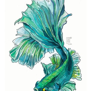 PRINT Limited Edition "green Siamese Fighting Fish", Giclée Print, Home ...