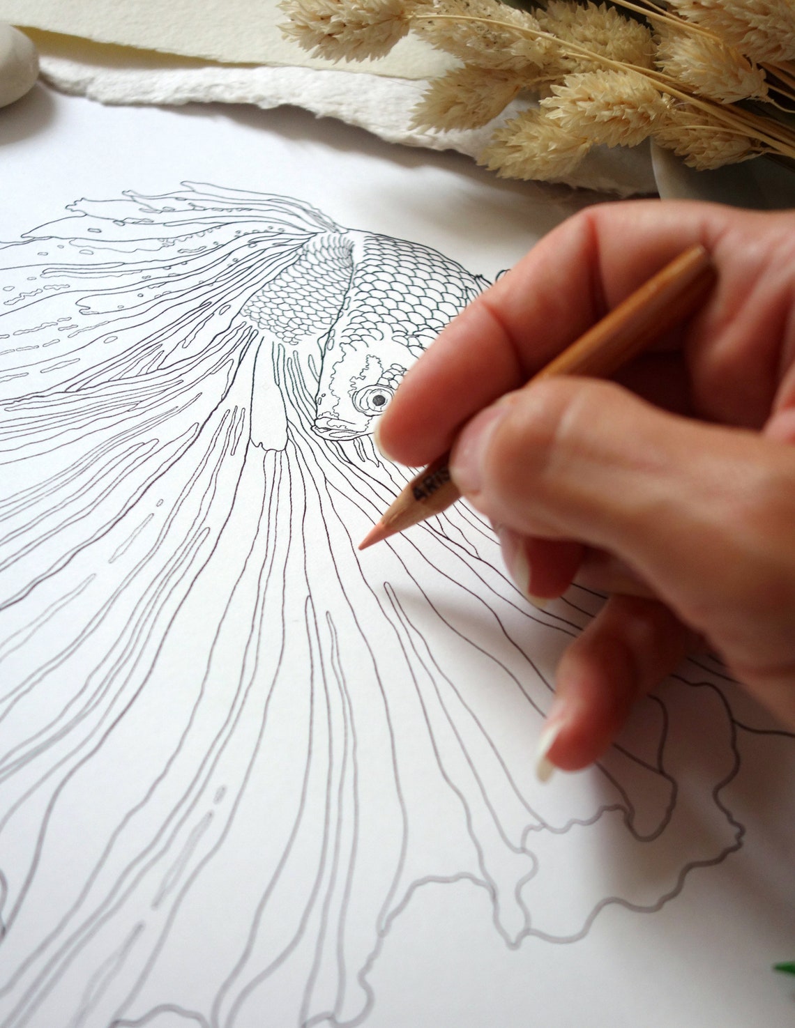 COLORING PAGE siamese Fighting Fish Betta Fish - Etsy