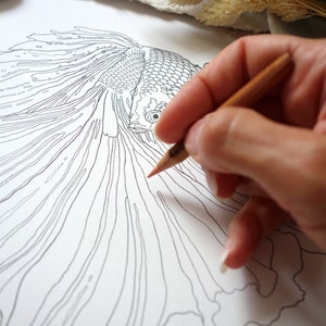 COLORING PAGE "siamese Fighting Fish" , Betta Fish, Downloadable ...