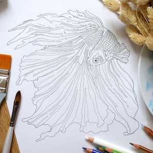 COLORING PAGE "siamese Fighting Fish" , Betta Fish, Downloadable ...