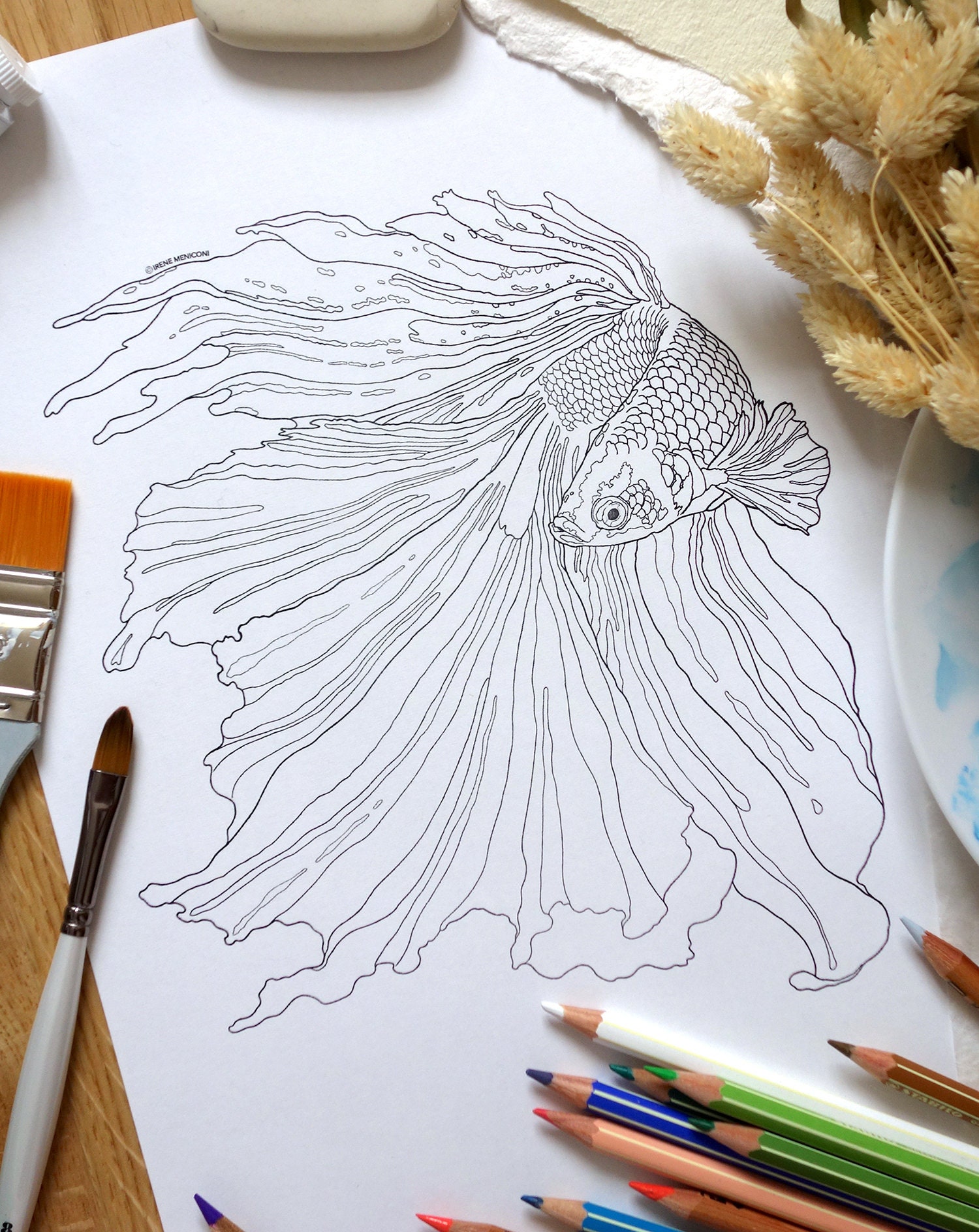 COLORING PAGE siamese Fighting Fish Betta Fish - Etsy