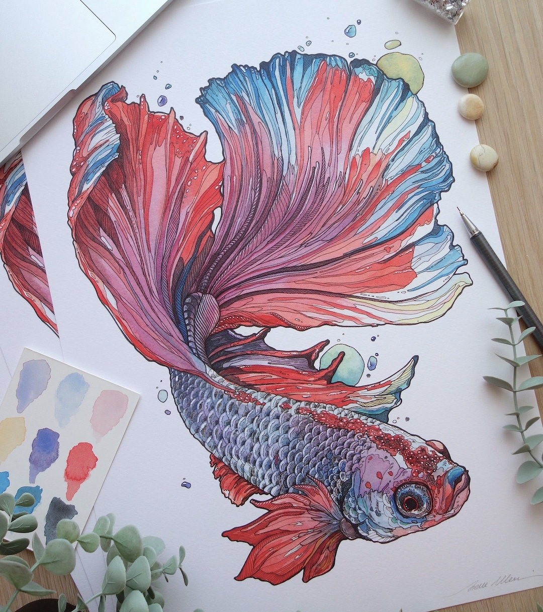 PRINT Limited Edition "siamese Fighting Fish", Giclée Print, Art, Home ...