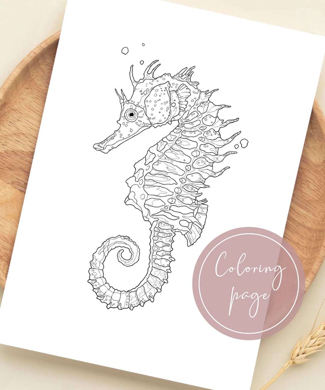 COLORING PAGE Seahorse , Downloadable Digital File, Illustration to Be ...