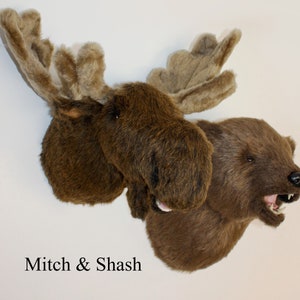 Plush Kodiak Bear Head "shash" Large Wall Mount - Etsy