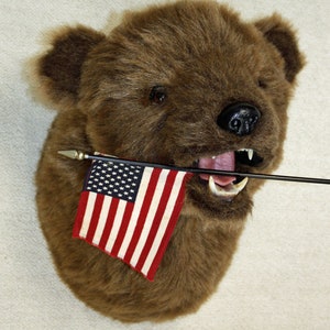 Plush Kodiak Bear Head "shash" Large Wall Mount - Etsy