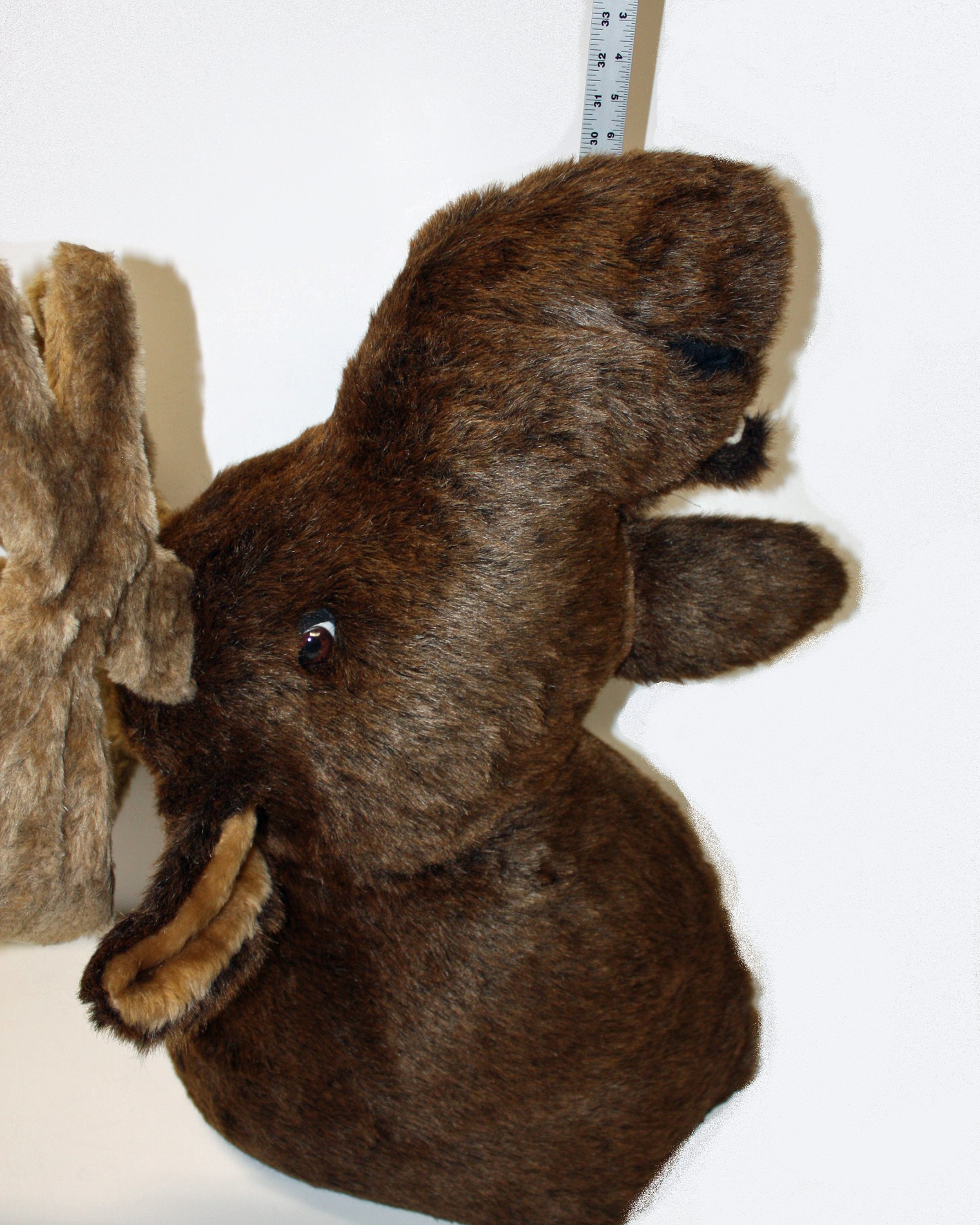 Plush Moose Head weston Largest Wall Mount - Etsy