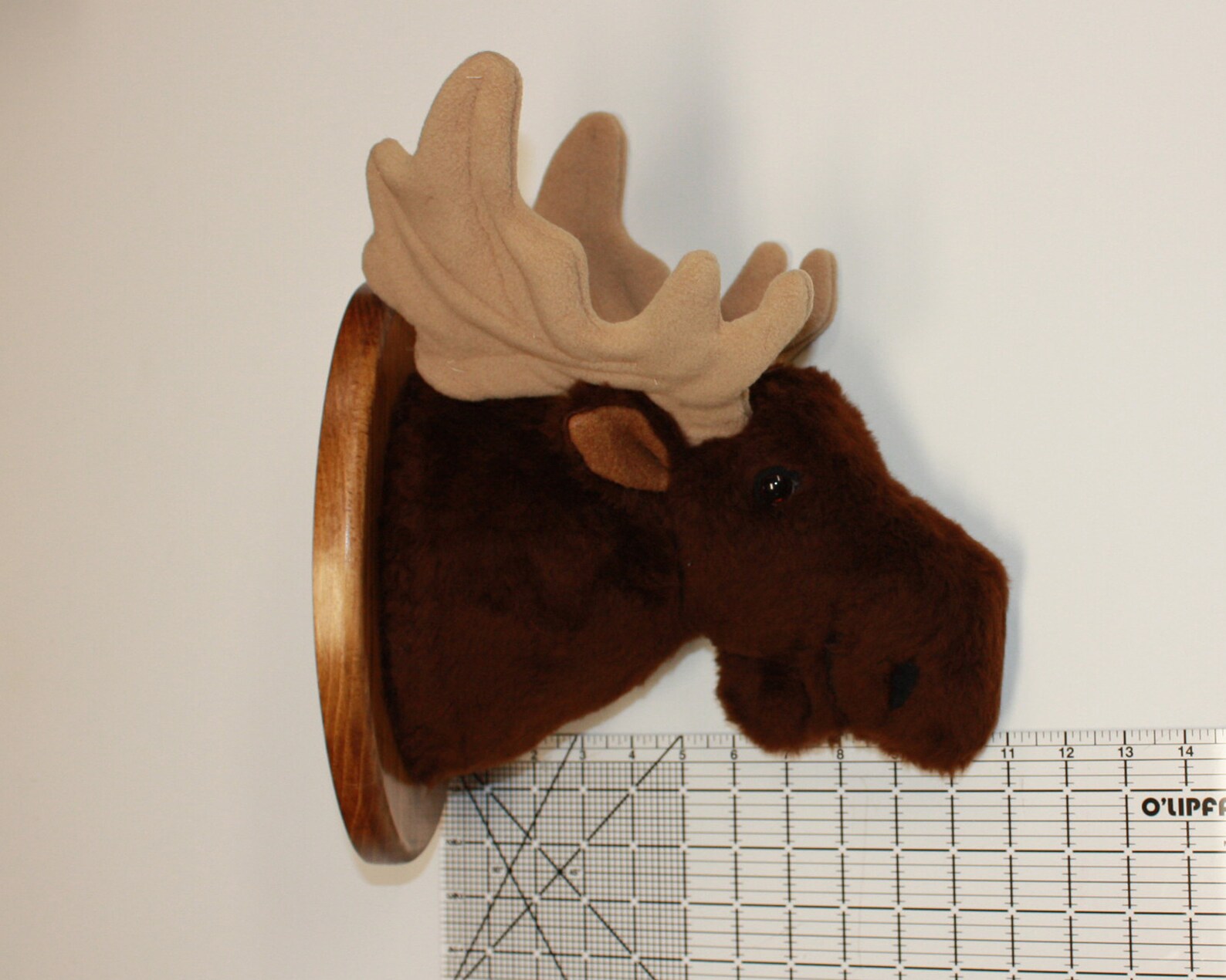 Plush Moose Head maynard Small Wall Mount - Etsy