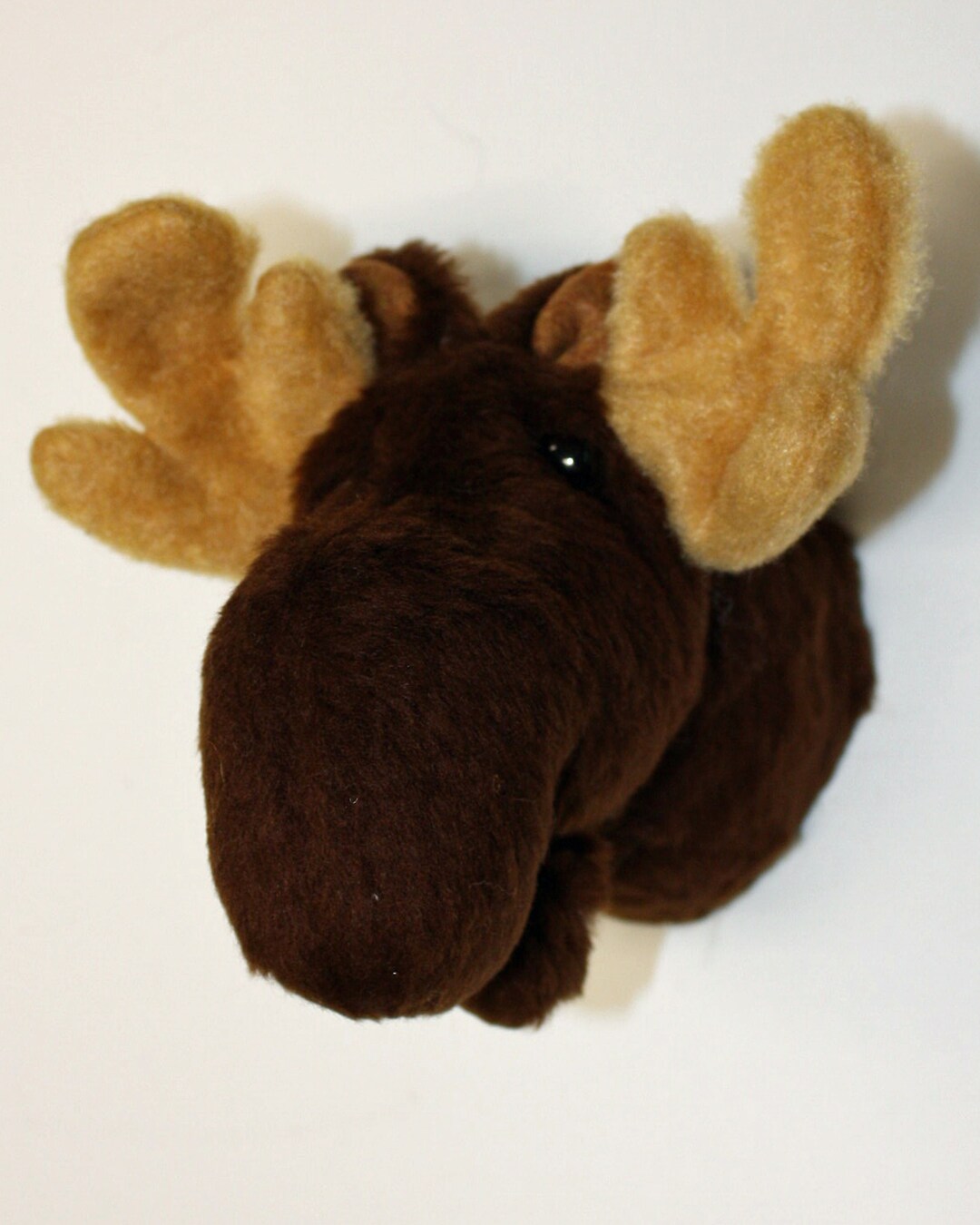 Plush Moose Head sunny Tiny Wall Mount - Etsy