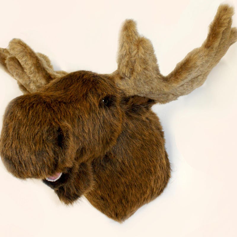 Stuff Moose Head - Etsy