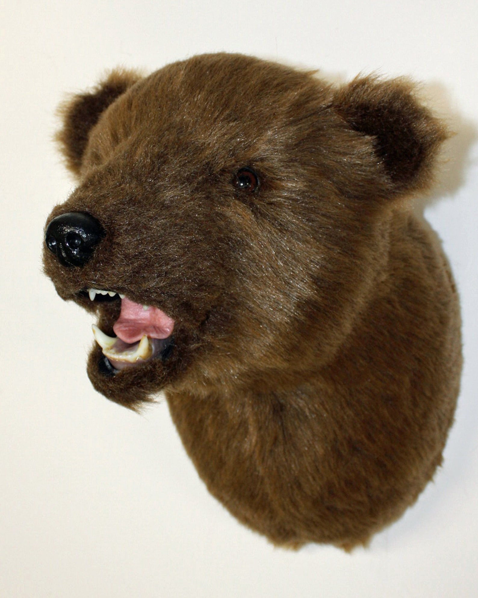 Plush Kodiak Bear Head shash Large Wall Mount - Etsy