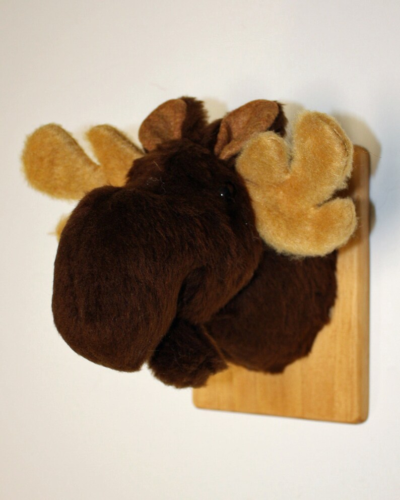Plush Moose Head sunny Tiny Wall Mount - Etsy India