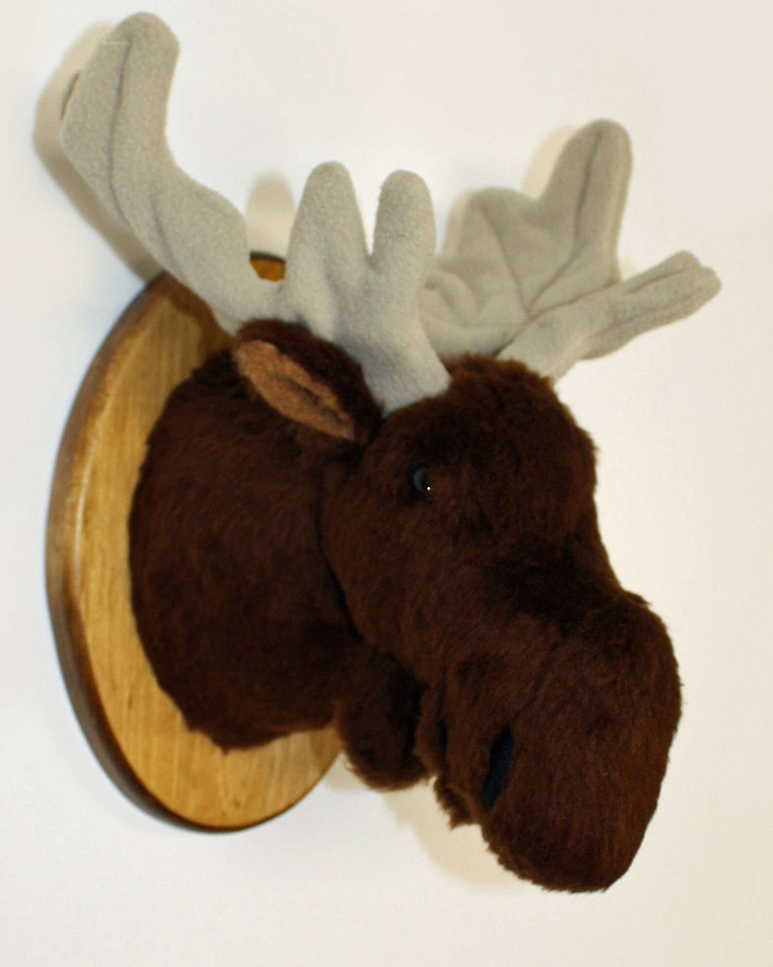 Plush Moose Head maynard Small Wall Mount - Etsy
