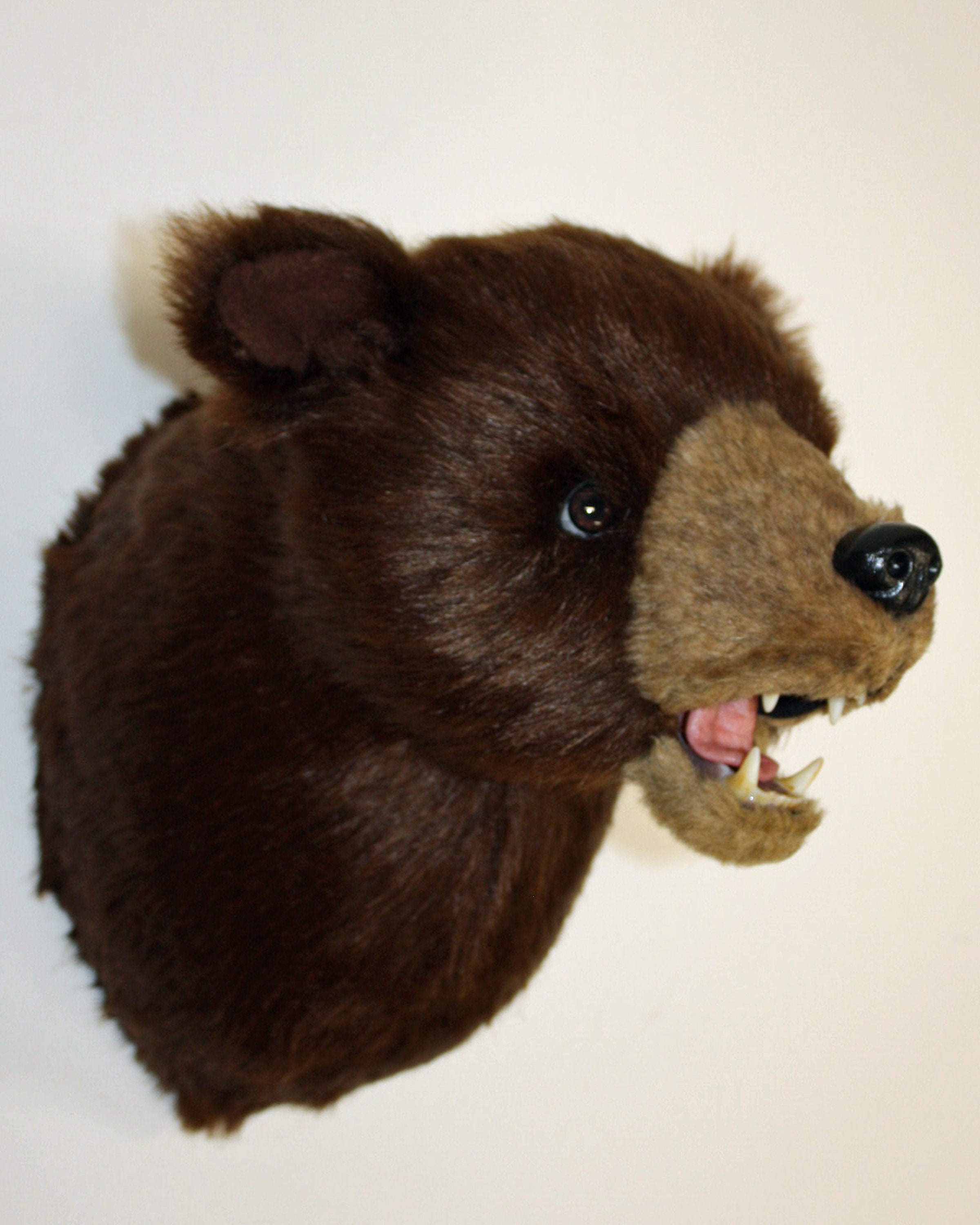 Mounted Grizzly Bear Head