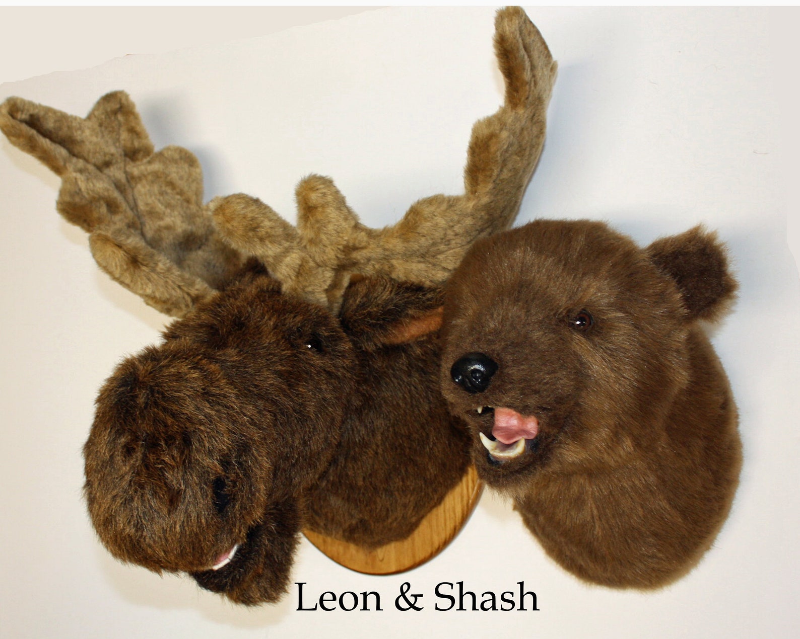 Plush Kodiak Bear Head shash Large Wall Mount - Etsy