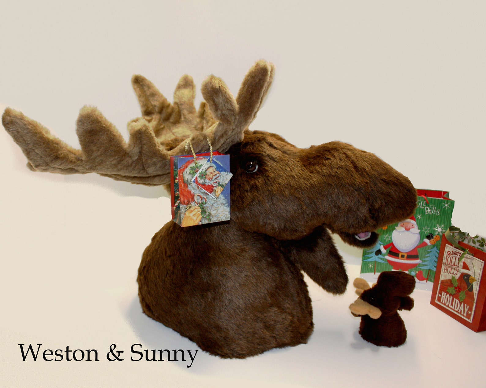 Plush Moose Head sunny Tiny Wall Mount | Etsy