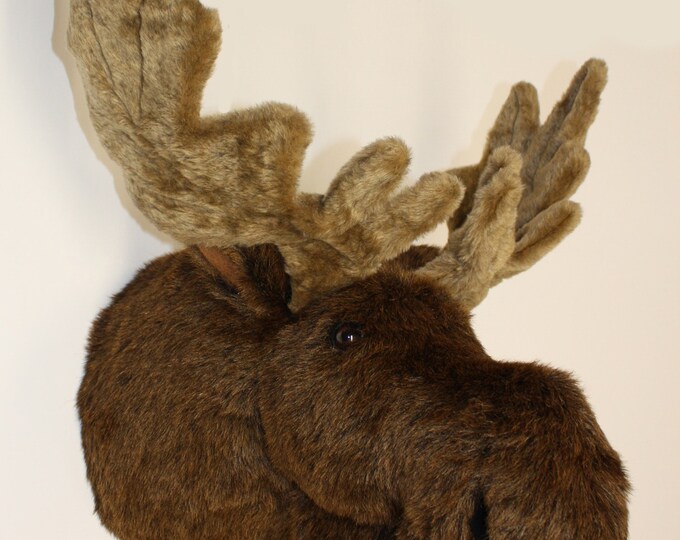 Bobcat Taxidermy Mount - Etsy