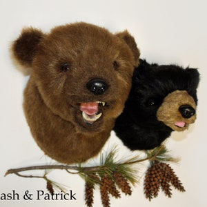 Plush Kodiak Bear Head "shash" Large Wall Mount - Etsy