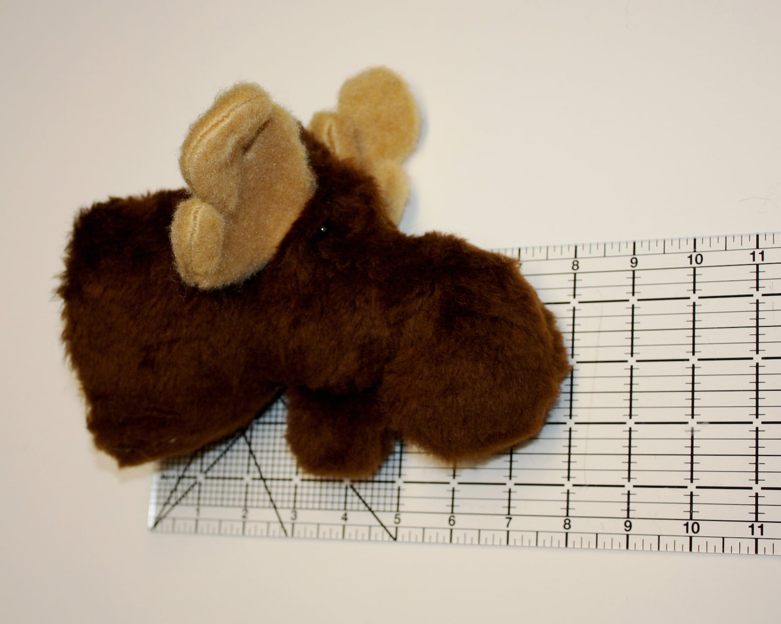 Plush Moose Head sunny Tiny Wall Mount | Etsy