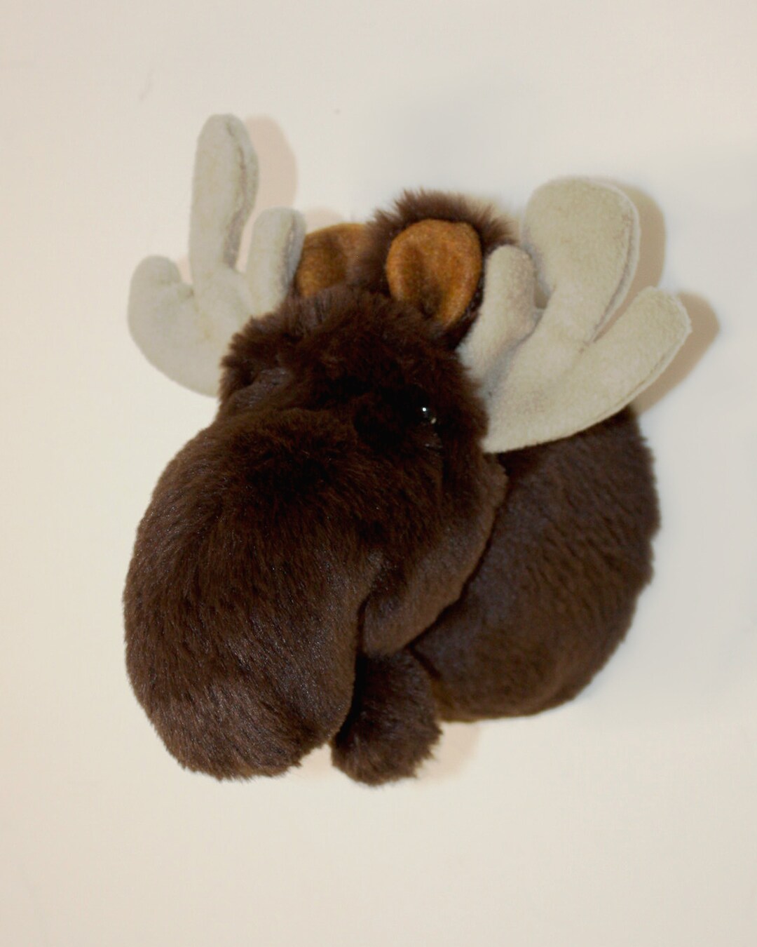 Plush Moose Head sunny Tiny Wall Mount - Etsy