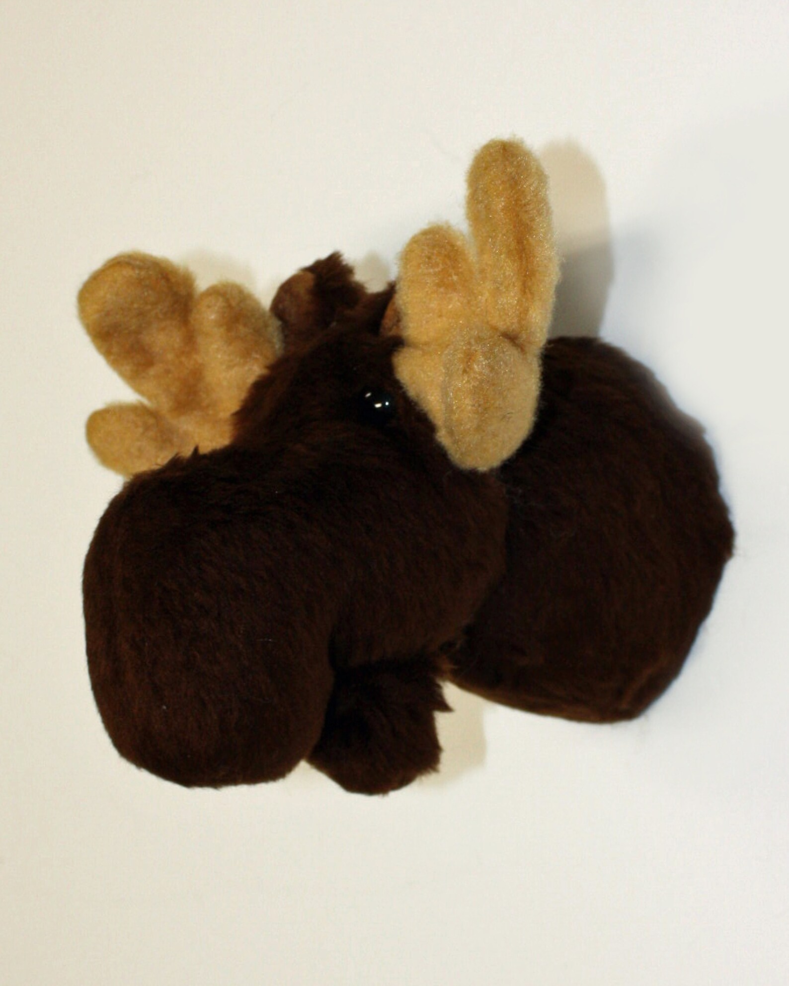 Plush Moose Head sunny Tiny Wall Mount - Etsy