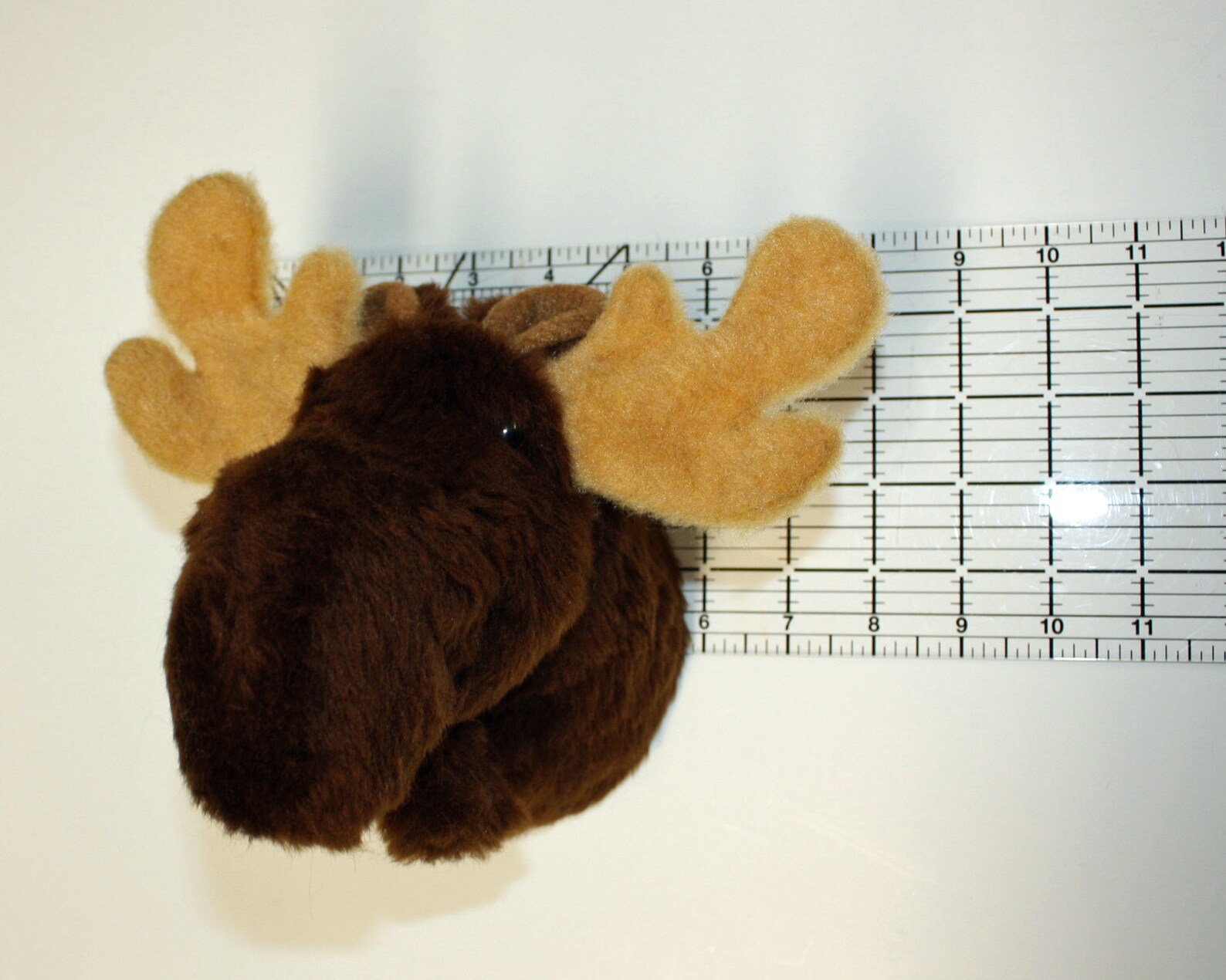 Plush Moose Head sunny Tiny Wall Mount - Etsy