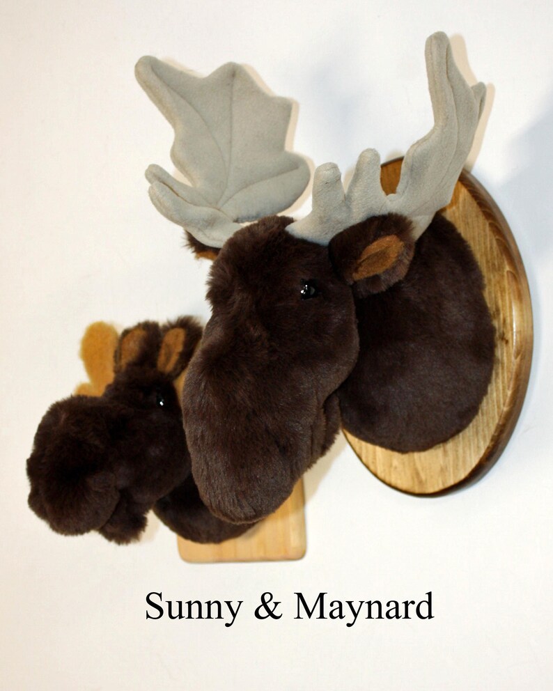 Moose Small Plush Wall Mount - 'maynard' - Etsy