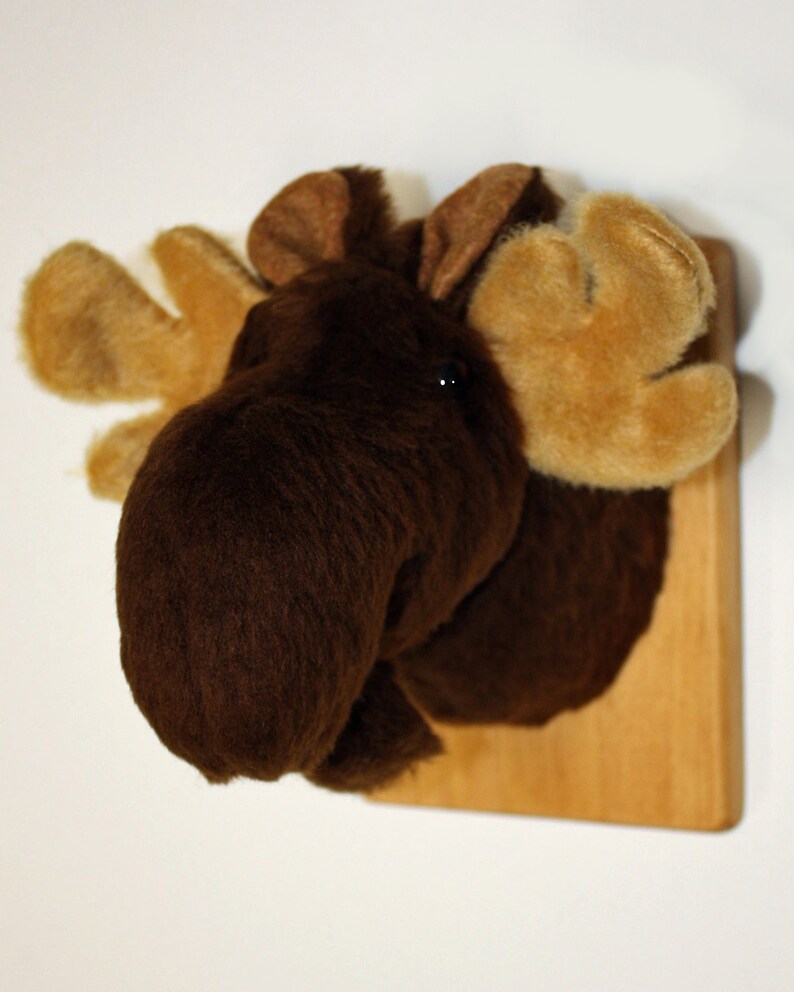 Plush Moose Head sunny Tiny Wall Mount - Etsy