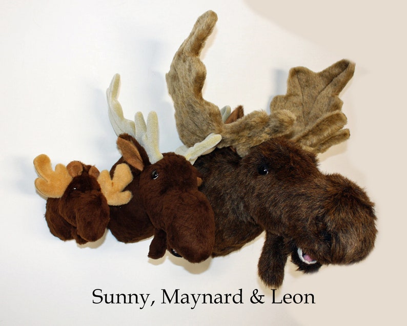 Plush Moose Head sunny Tiny Wall Mount - Etsy
