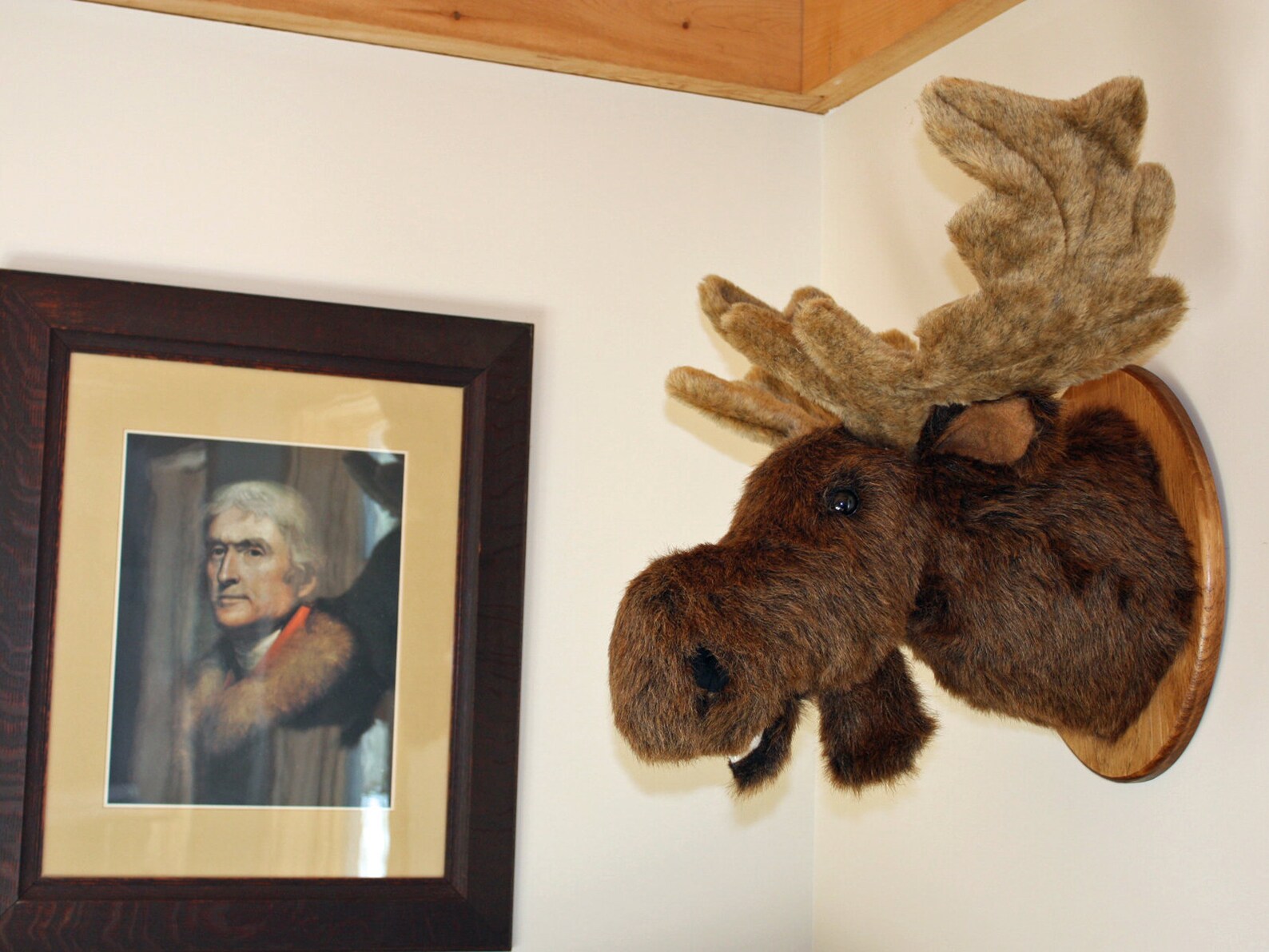 Plush Moose Head leon X-large Wall Mount | Etsy