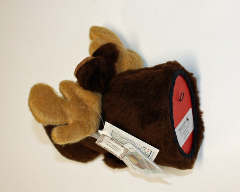 Plush Moose Head sunny Tiny Wall Mount - Etsy