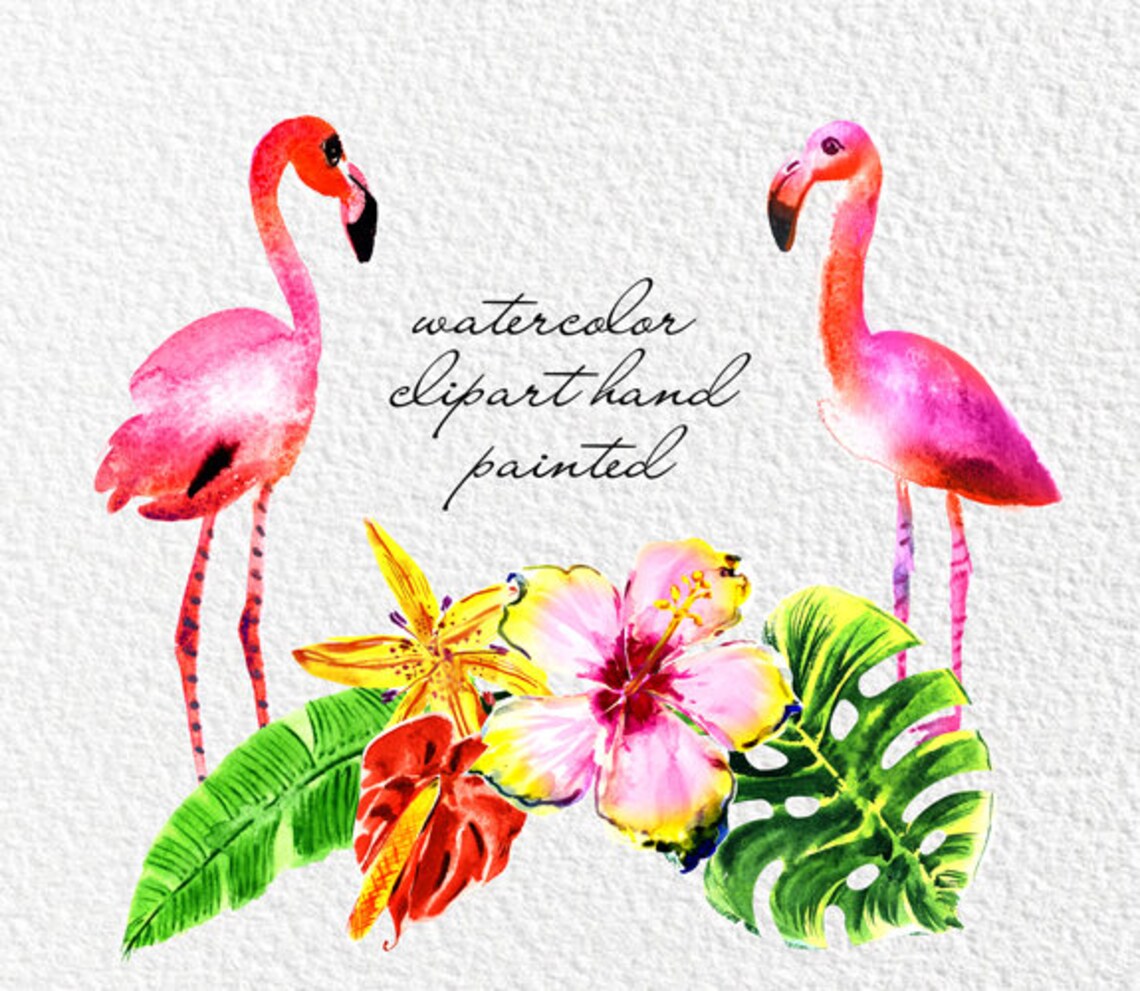 Flamingo Clipart. Flamingo Watercolor Clipart. Flamingo - Etsy