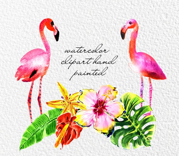 Flamingo clipart. Flamingo watercolor clipart. Flamingo | Etsy