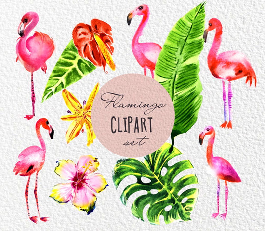 Flamingo Clipart. Flamingo Watercolor Clipart. Flamingo Clipart ...